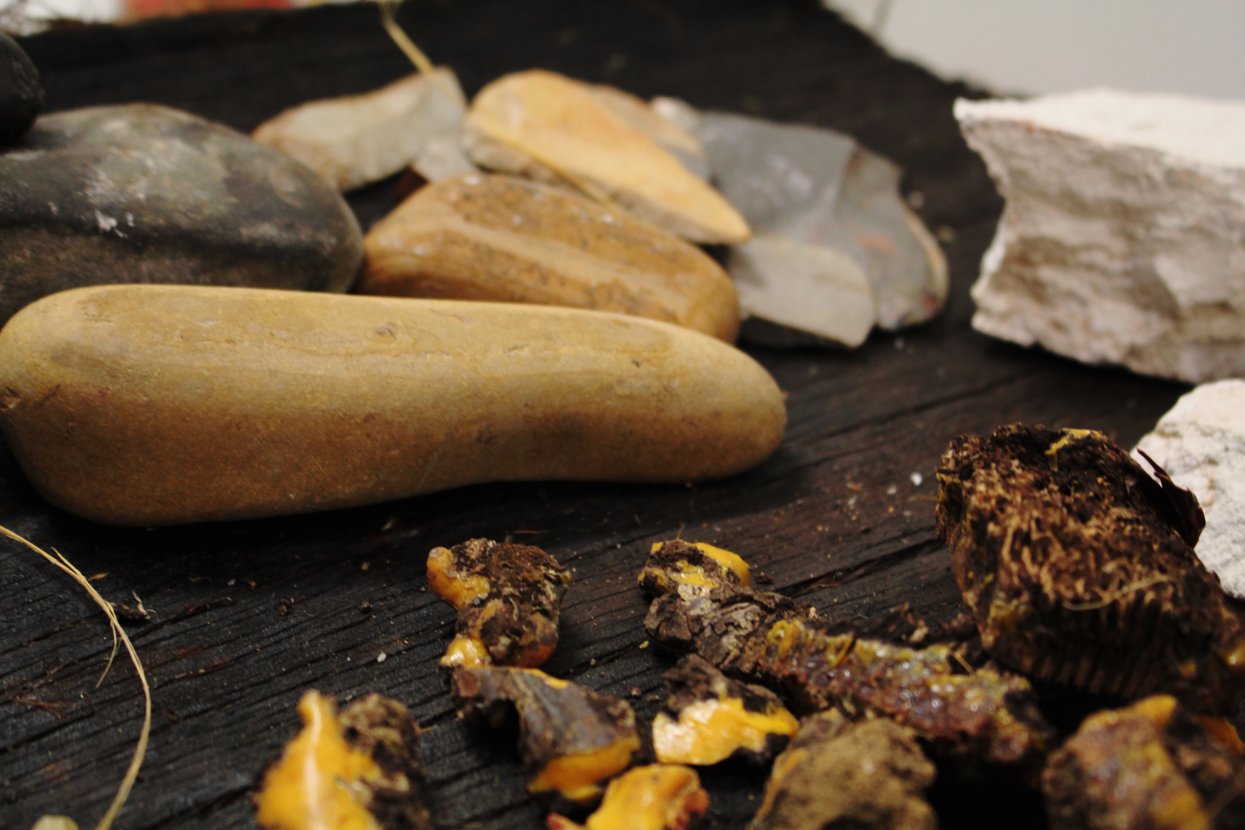 Indigenous Knowledge Archives - National Science Week