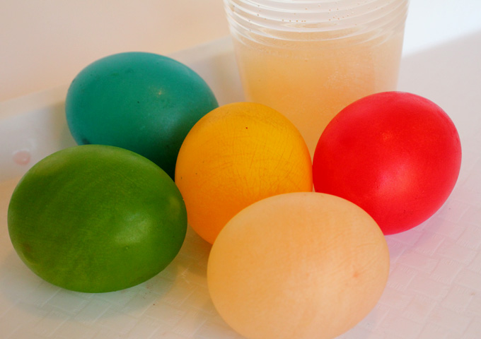 DIY Science: Bouncy Eggs - National Science Week