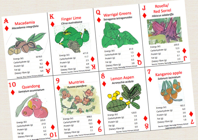 Nutritional Information Playing Cards - National Science Week
