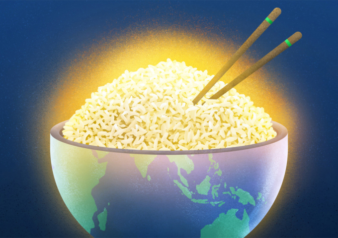 Experiences - National Science Week